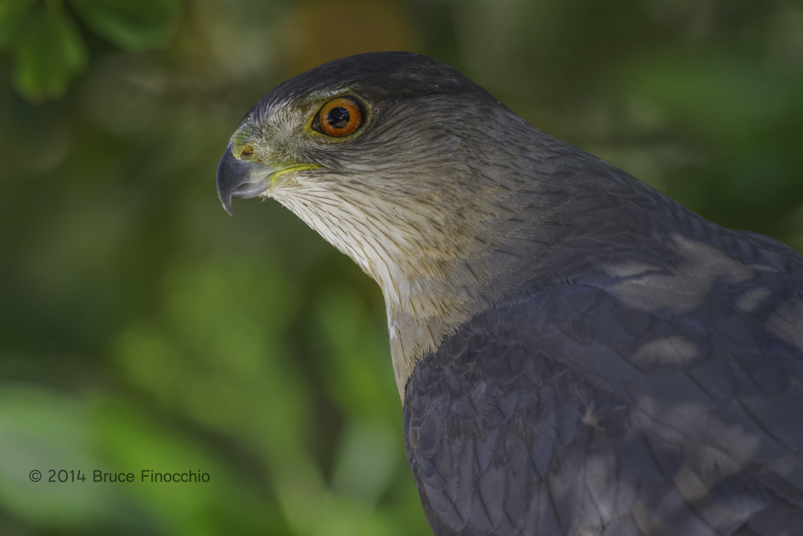 Ramrod Ranch Image Gallery - Dream Catcher Images by Bruce Finocchio