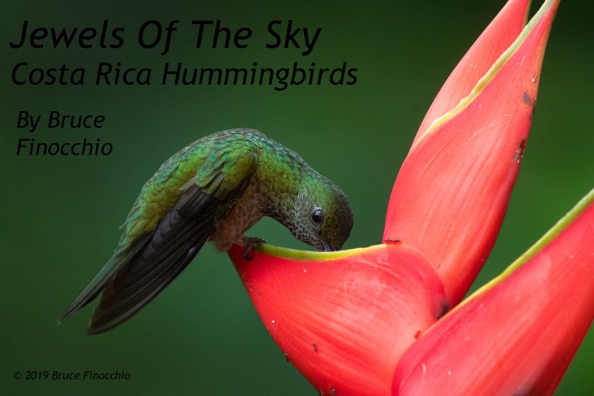 2020 Jewels Of the Sky Calendar - Dream Catcher Images by Bruce Finocchio